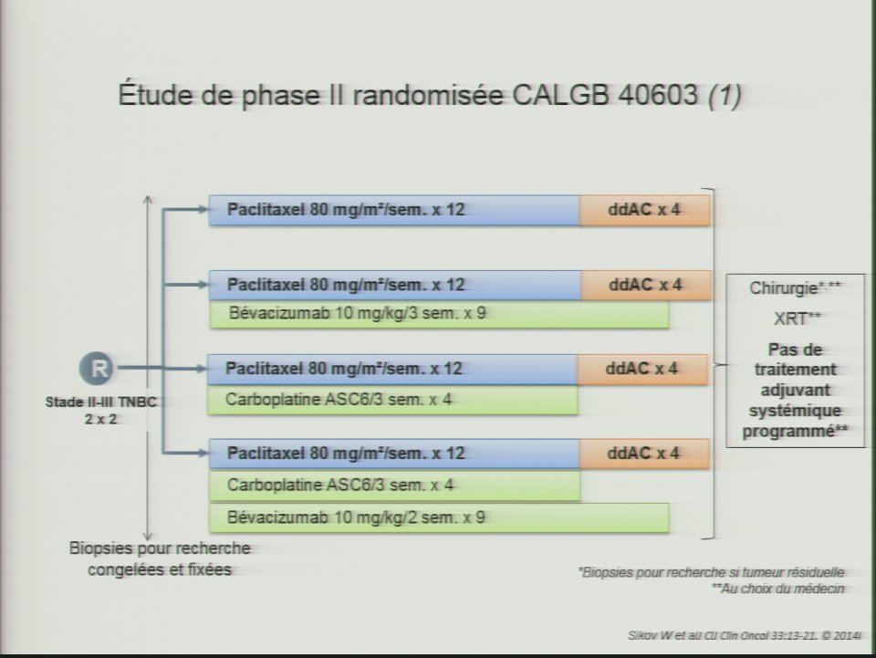 Chimiothérapie Néoadjuvante des TTN : place des sels de platine