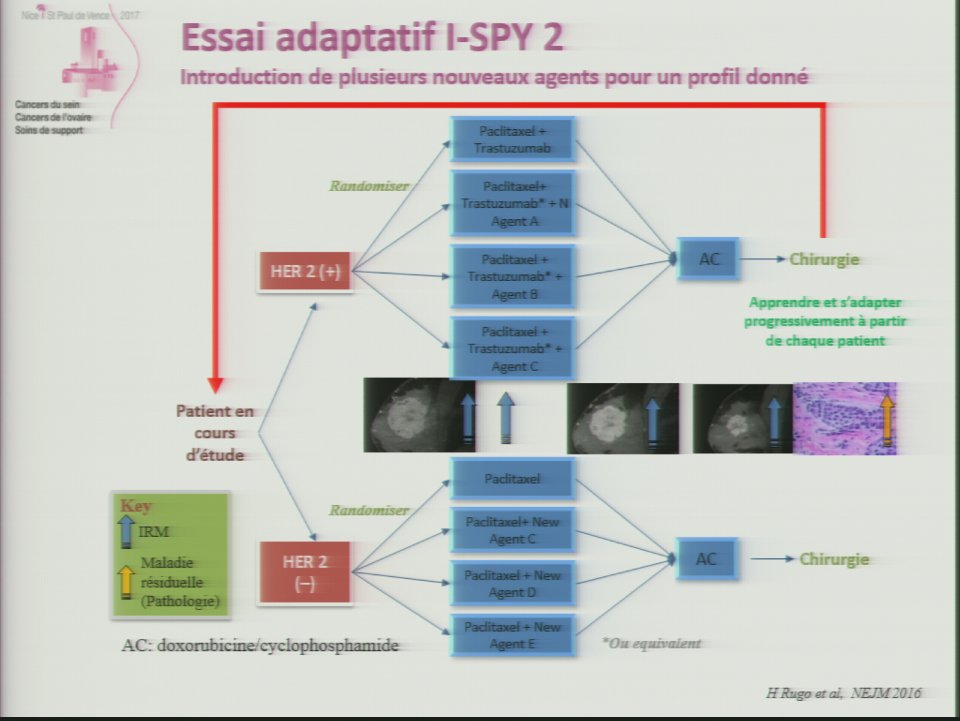 Chimiothérapie Néoadjuvante des TTN : place des sels de platine